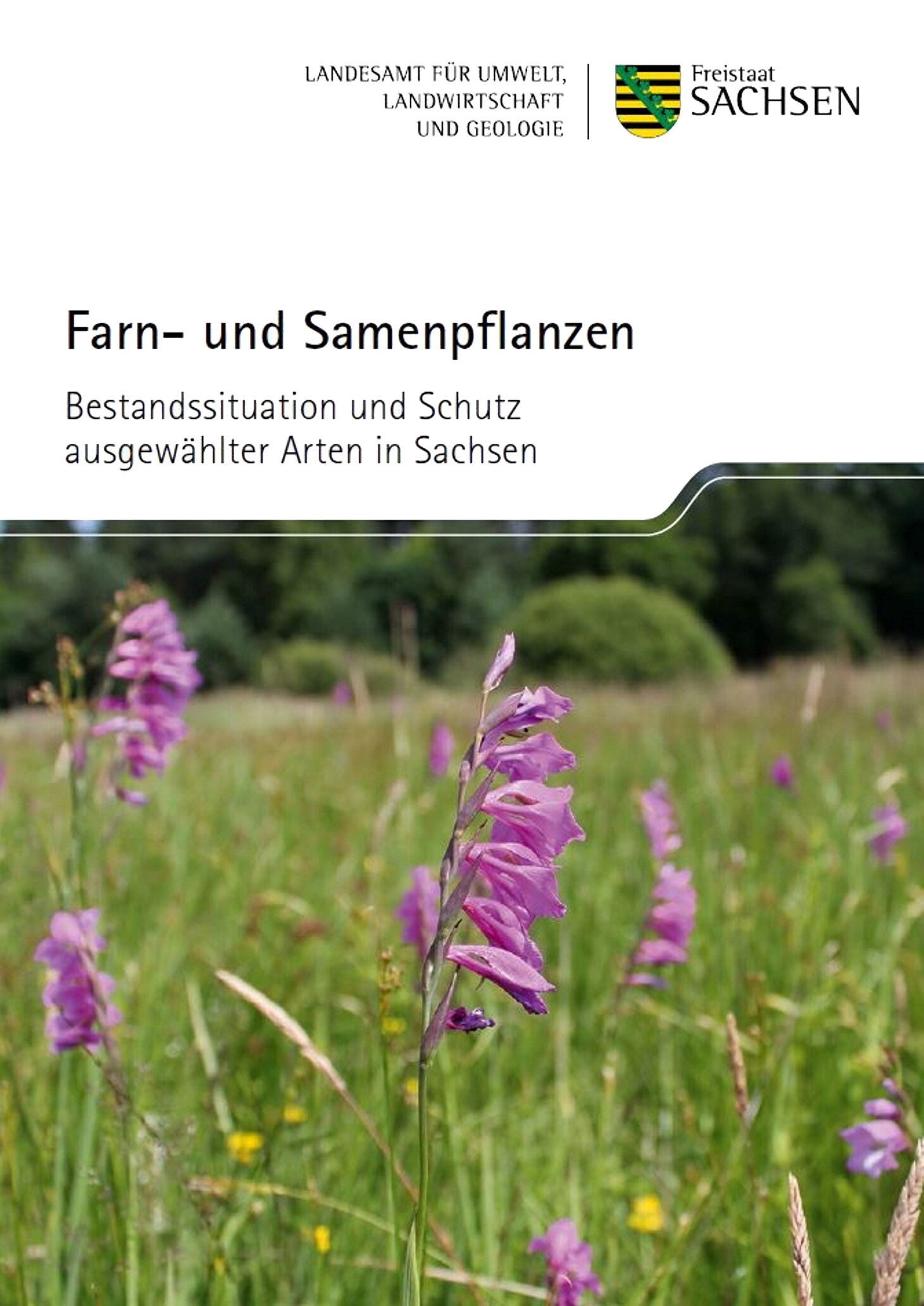 Farn- und Samenpflanzen - Natur und Biologische Vielfalt - sachsen.de