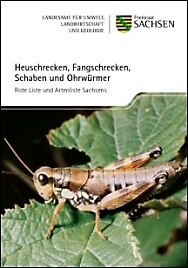 Heuschrecken - Natur und Biologische Vielfalt - sachsen.de